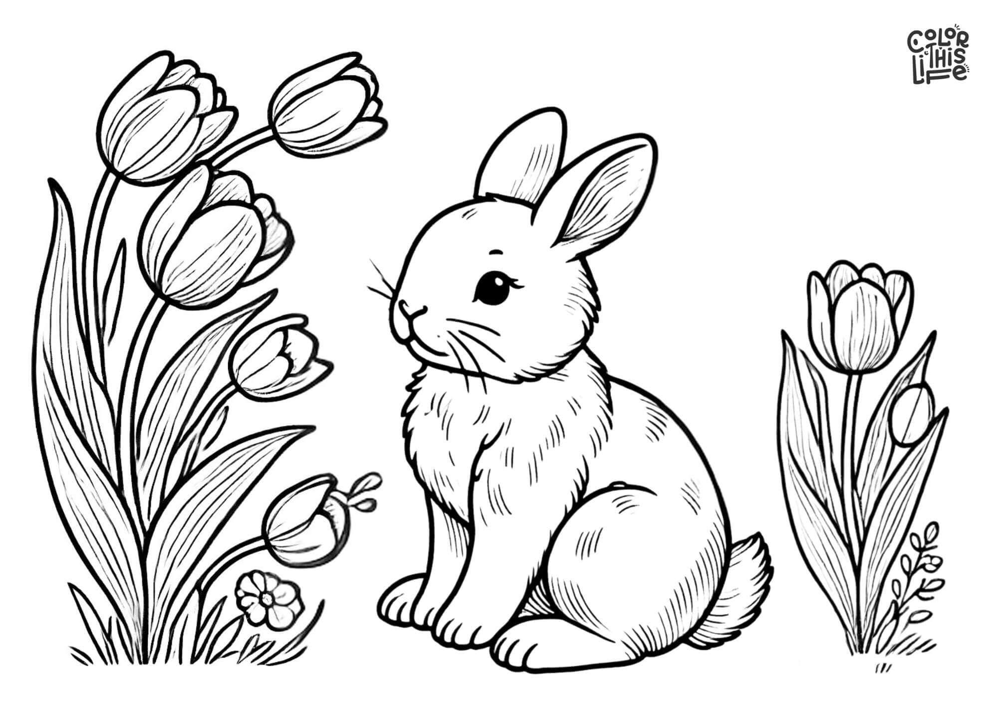 Bunny and tulips coloring page - Color This Life