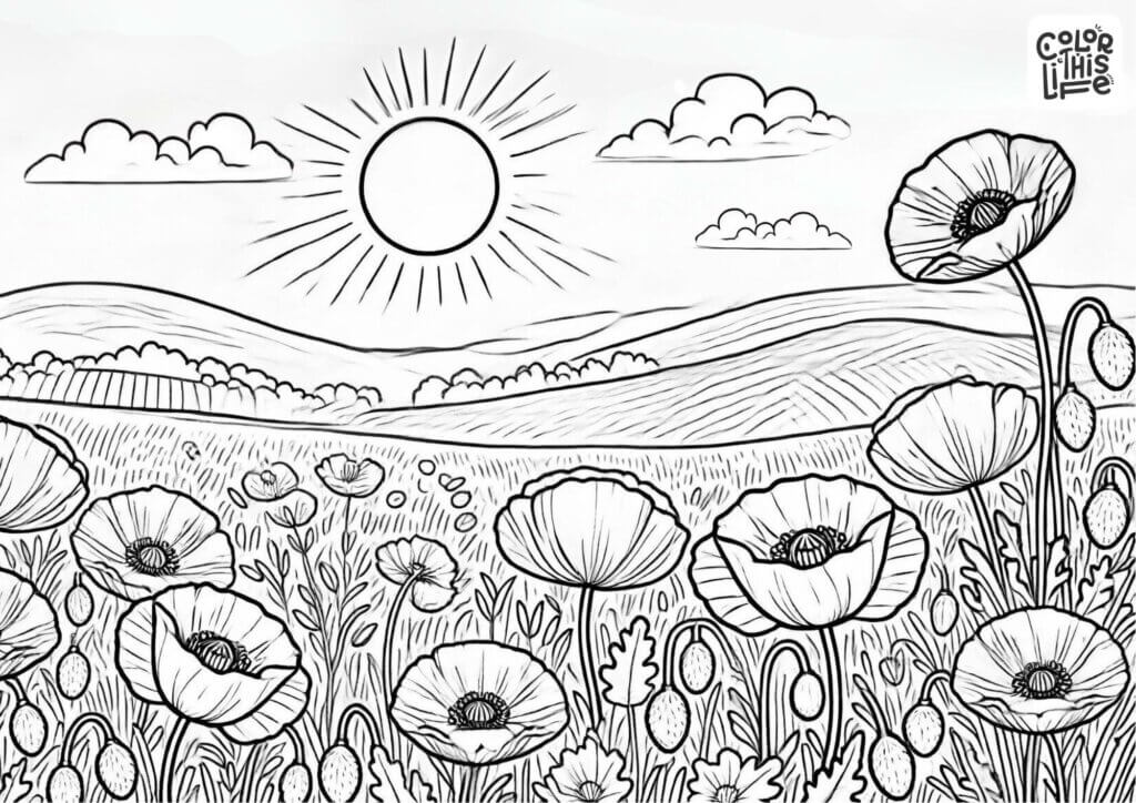 Field of poppies coloring page - Color This Life