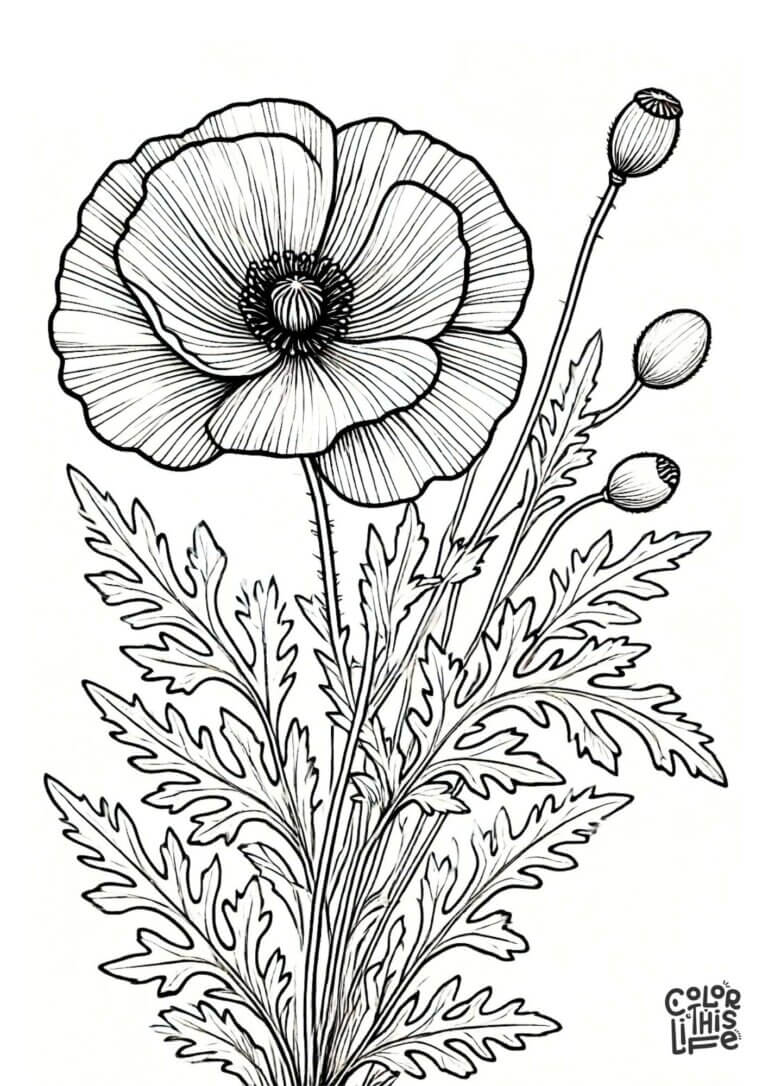 Free Printable Poppy Coloring Pages - Color This Life