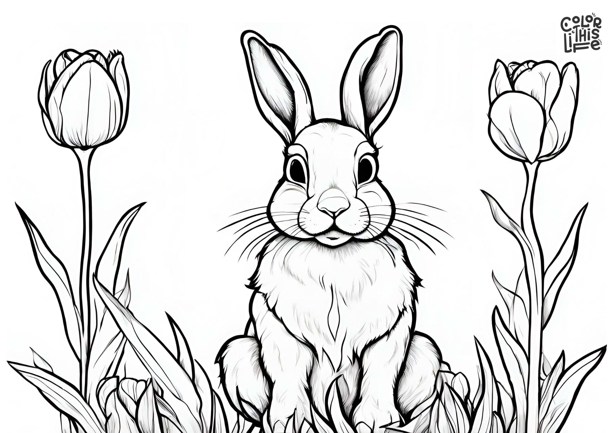 Rabbit and tulip coloring sheet - Color This Life