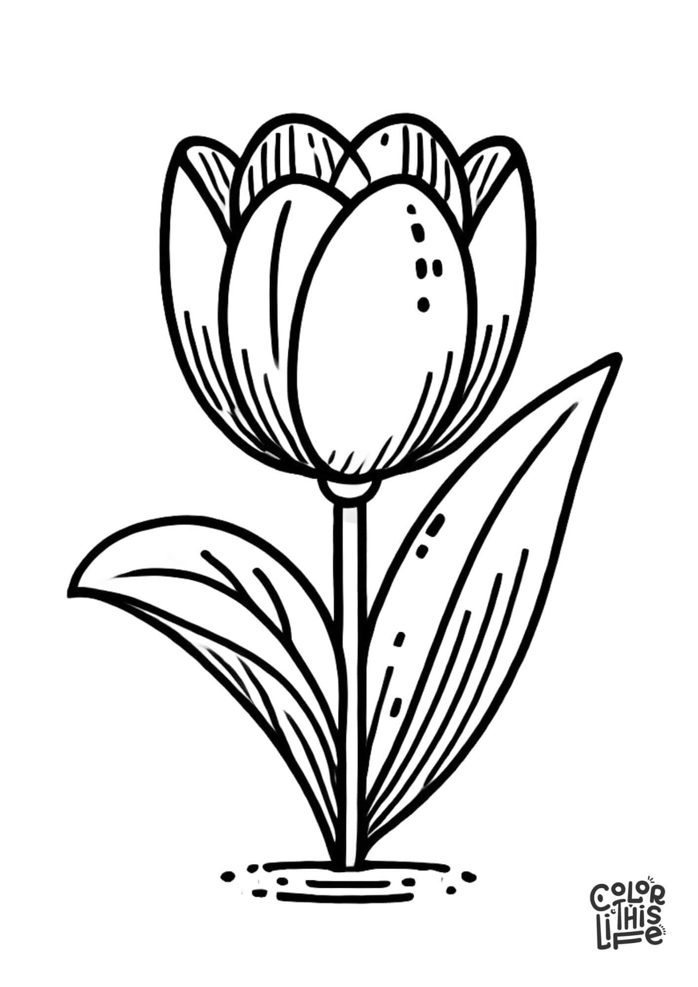 Simple tulip flower coloring page - Color This Life