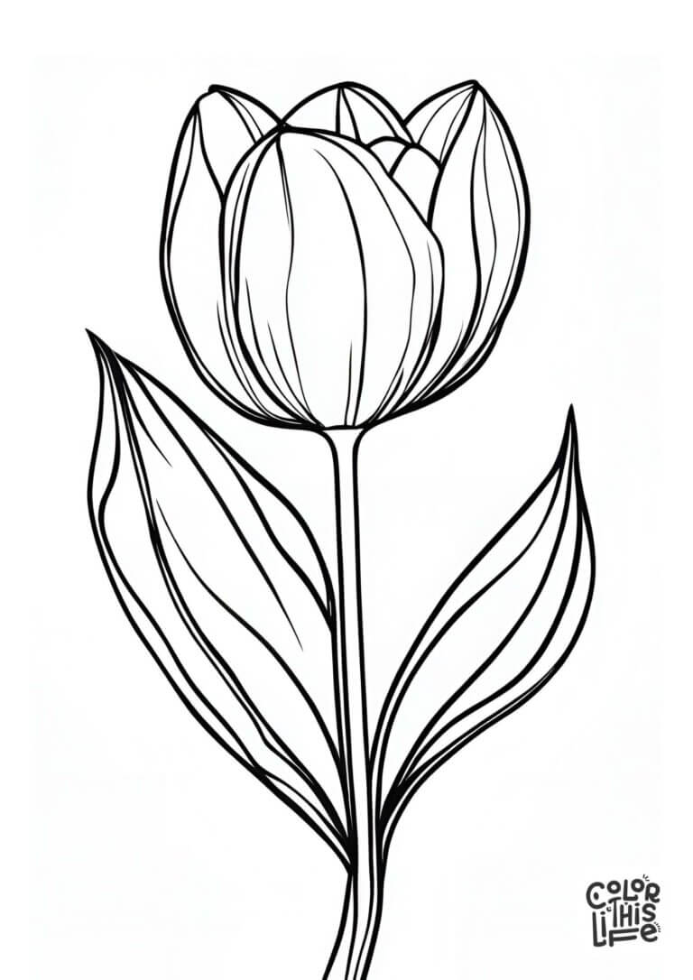 Simple Flower Coloring Pages (Free Printable)