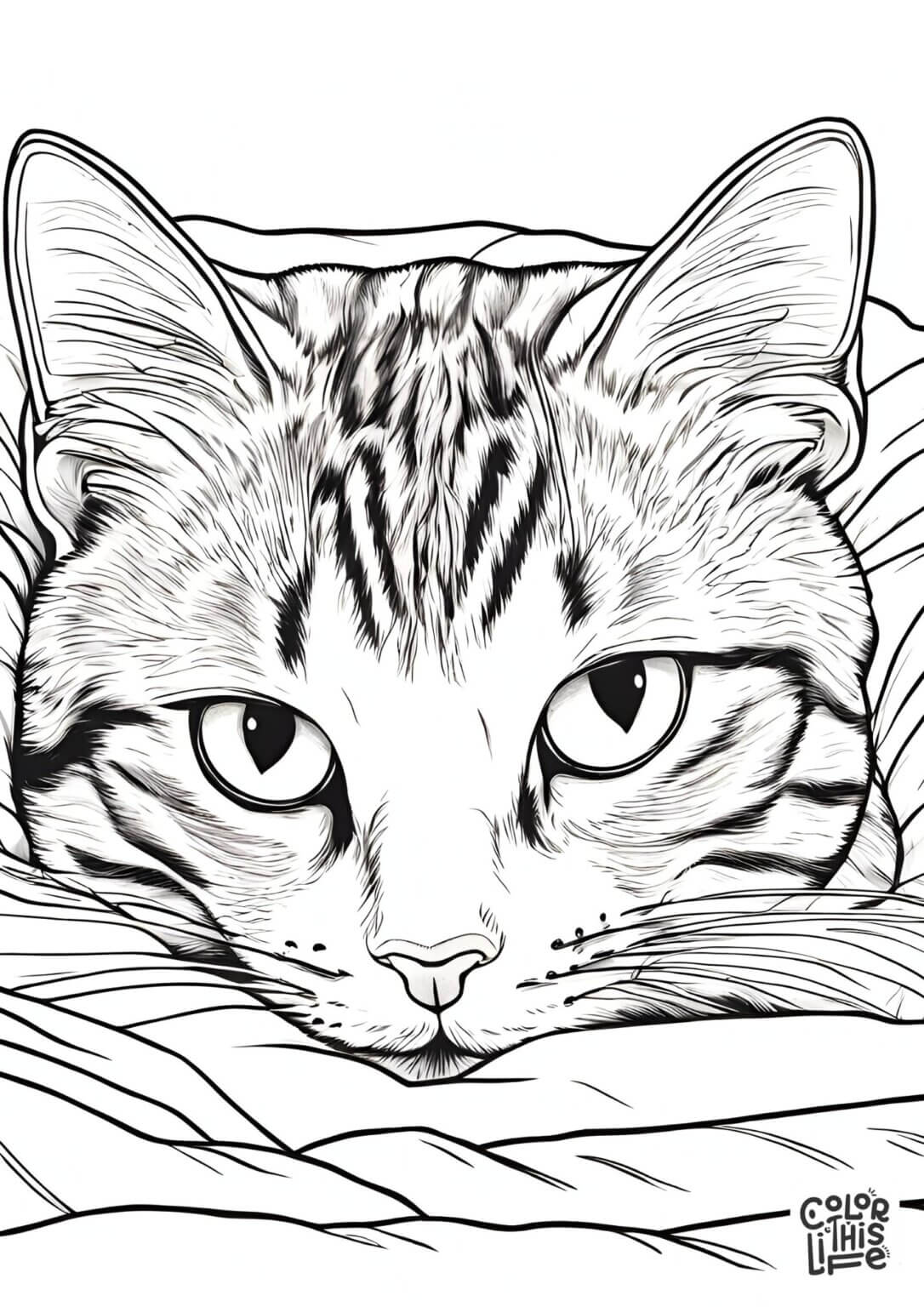Free Printable Pets Coloring Pages - Color This Life