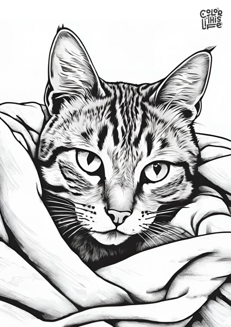 Happy rainbow cat coloring page for kids - Color This Life