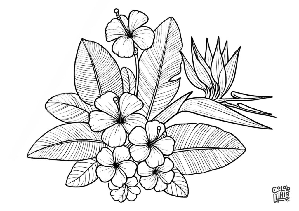Tropical flowers coloring page - Color This Life