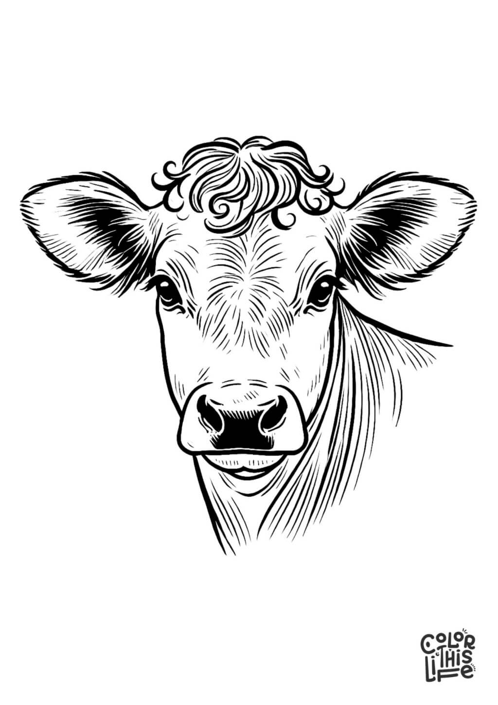 Cow Coloring Pages for Kids (Free Printable)