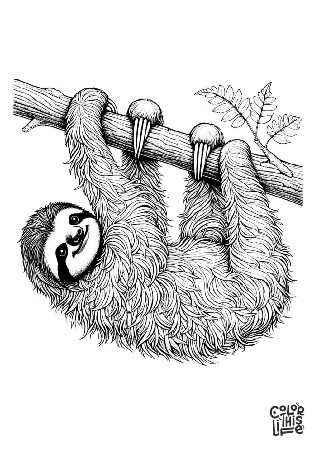 Free printable sloth coloring page detailed - Color This Life