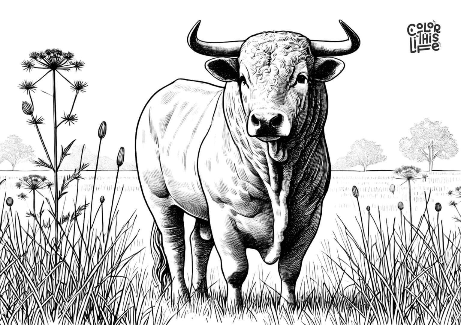 Free Printable Nature Coloring Pages - Color This Life