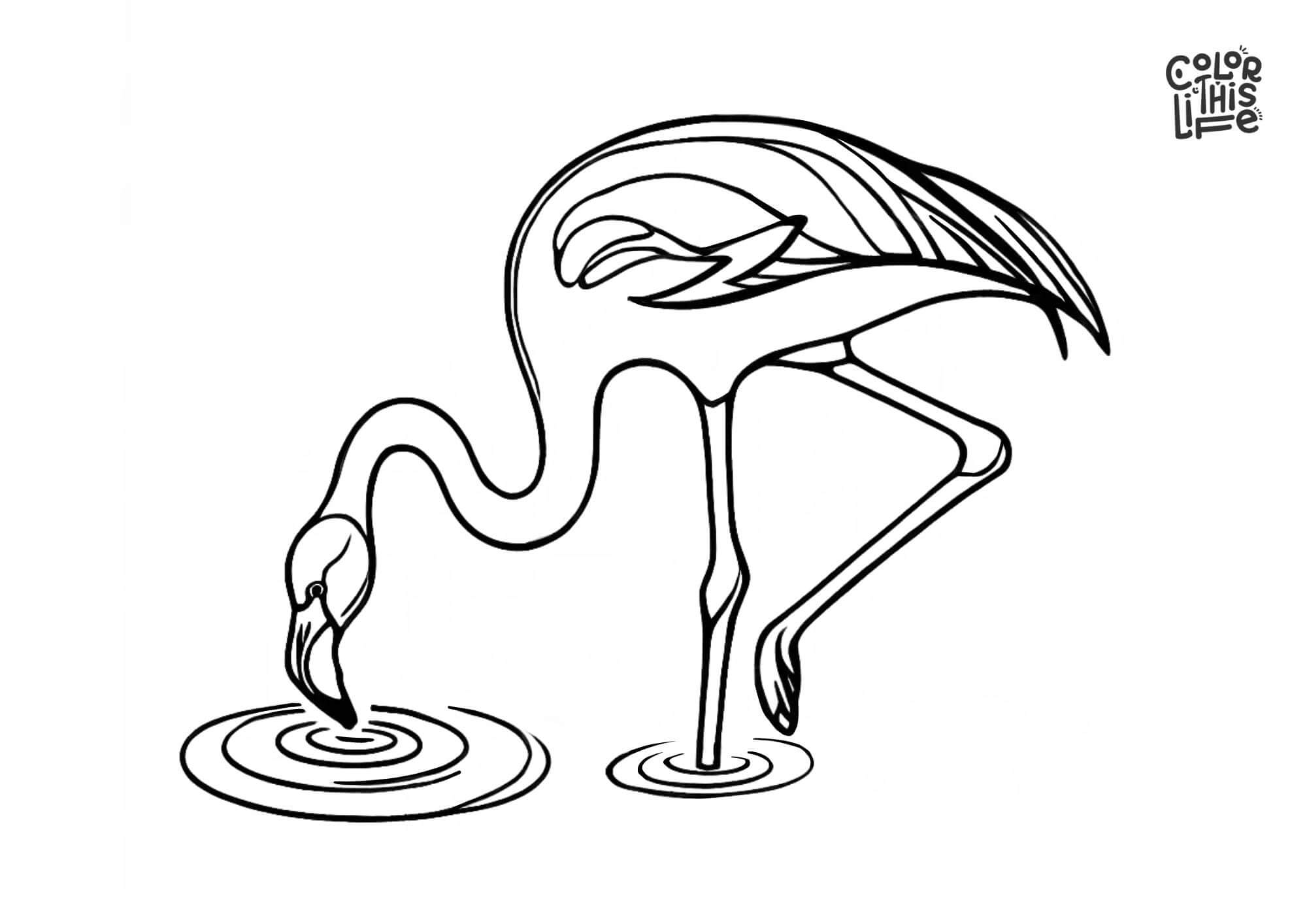 Simple flamingo coloring sheet - Color This Life