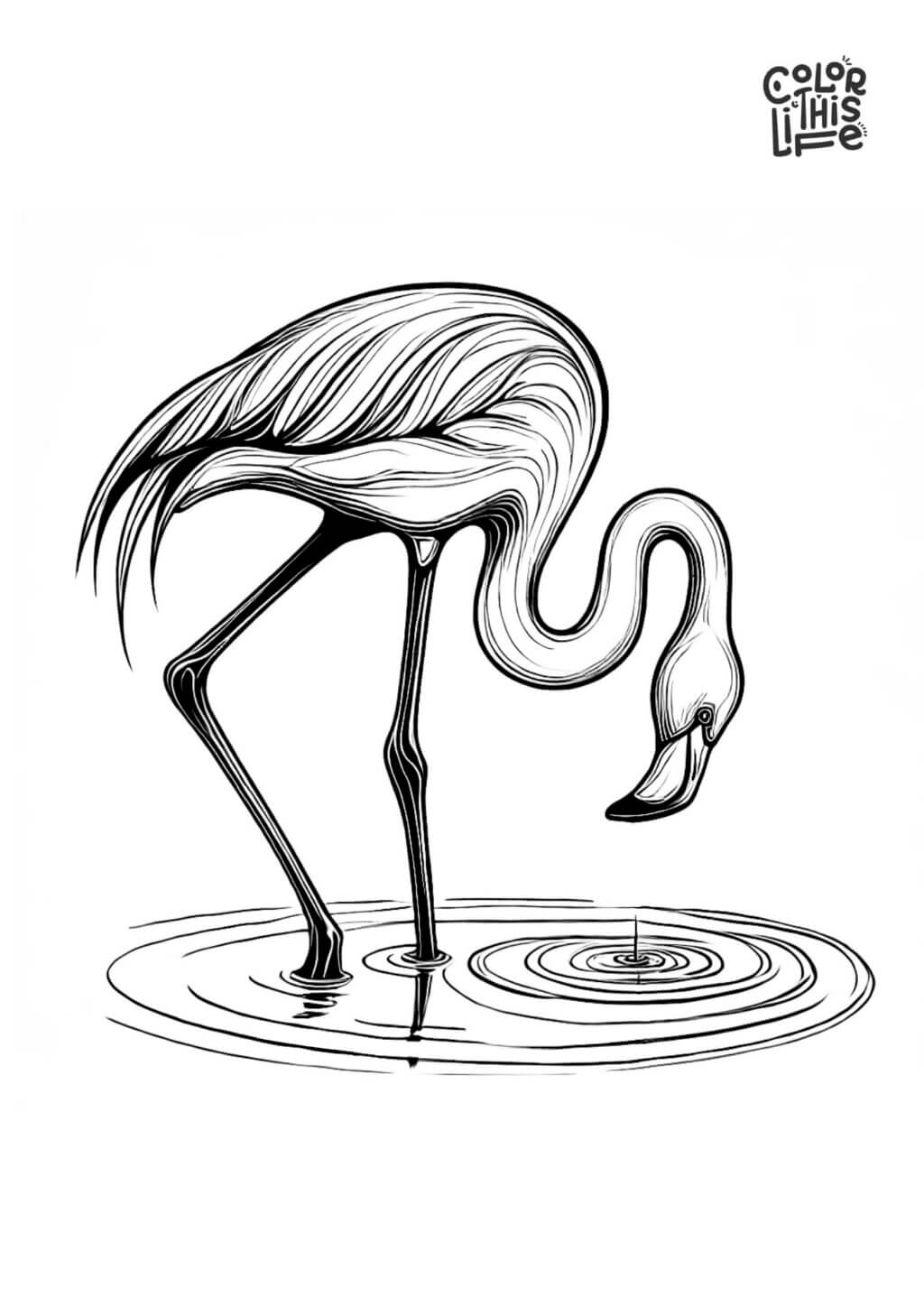 Detailed flamingo coloring page - Color This Life