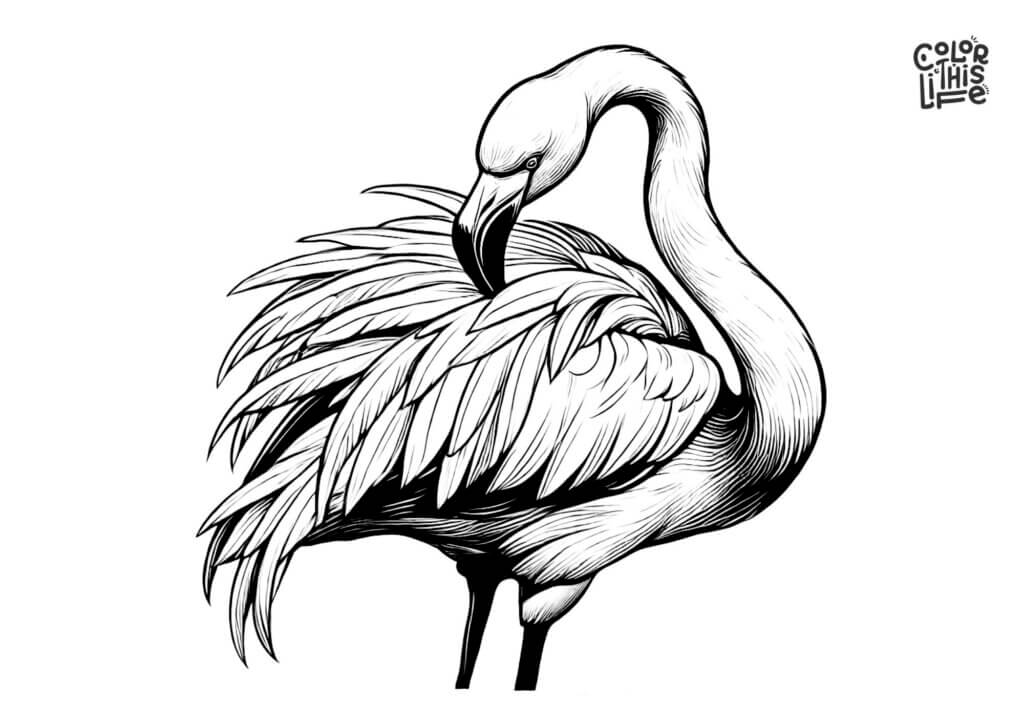 Realistic Coloring Pages (Free Printable) - Color This Life