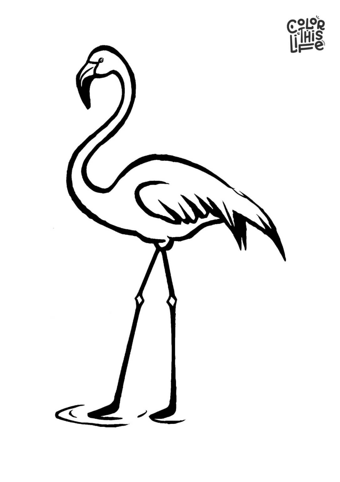 Simple flamingo coloring sheet - Color This Life