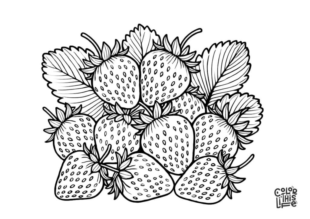 Printable realistic strawberries coloring sheet - Color This Life