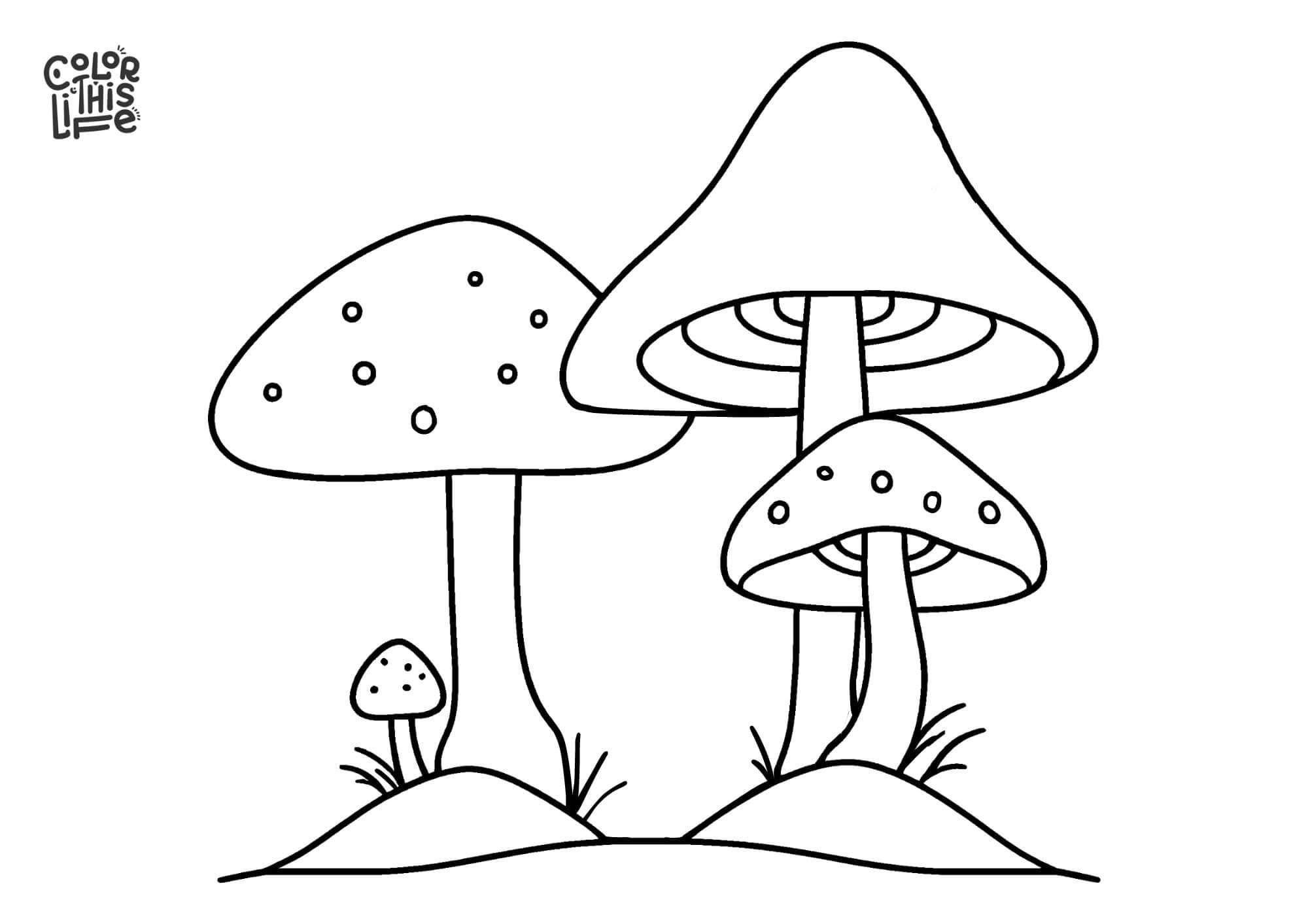 Simple frog and mushroom coloring page - Color This Life