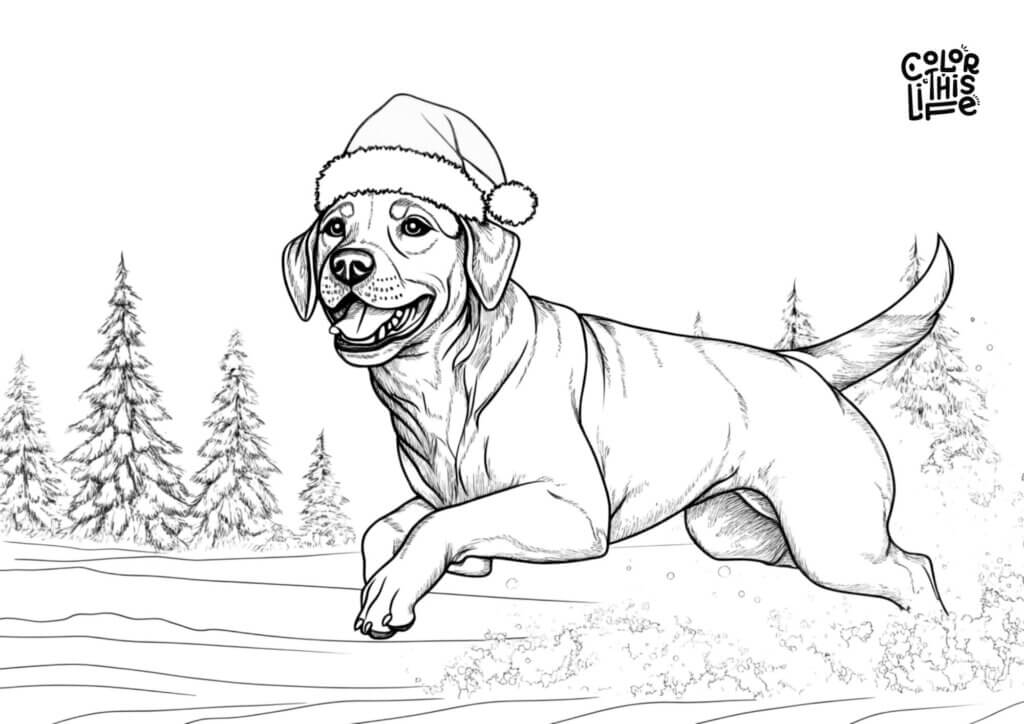 Christmas Dog Coloring Pages (Free Printable)