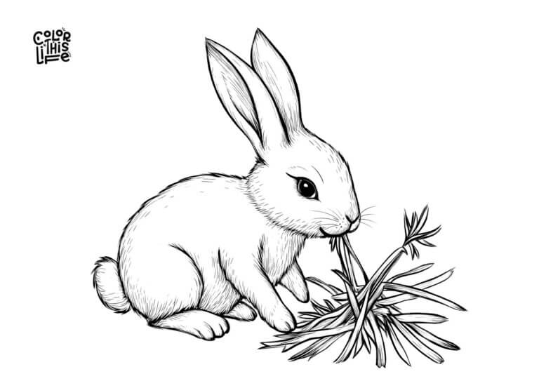 Spring bunny coloring page free printable - Color This Life