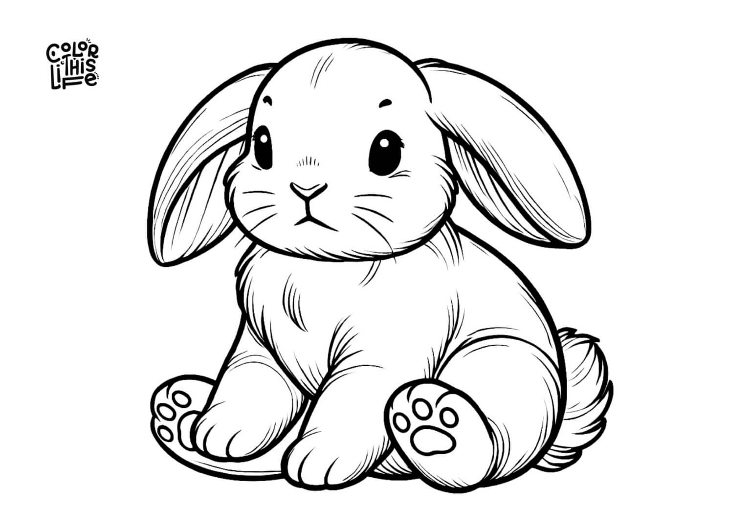 Cute fluffy bunny coloring page printable - Color This Life