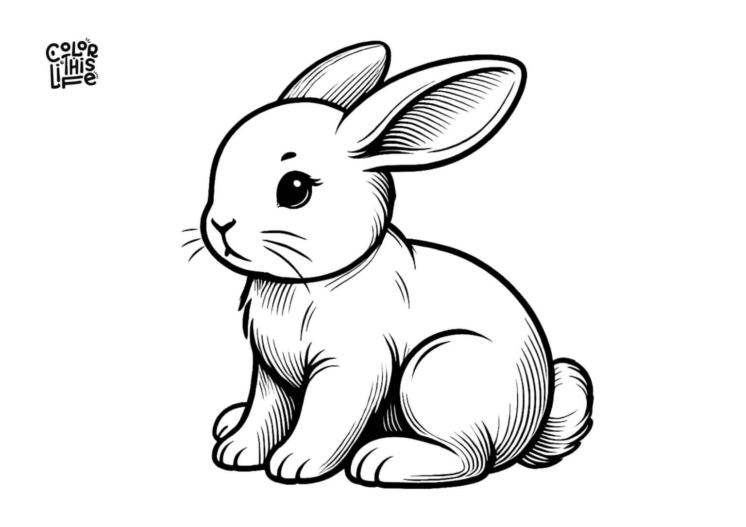 Free Printable Bunny Coloring Pages - Color This Life