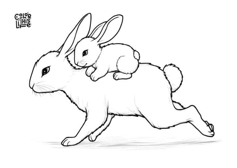 Piggy back baby bunny coloring page - Color This Life