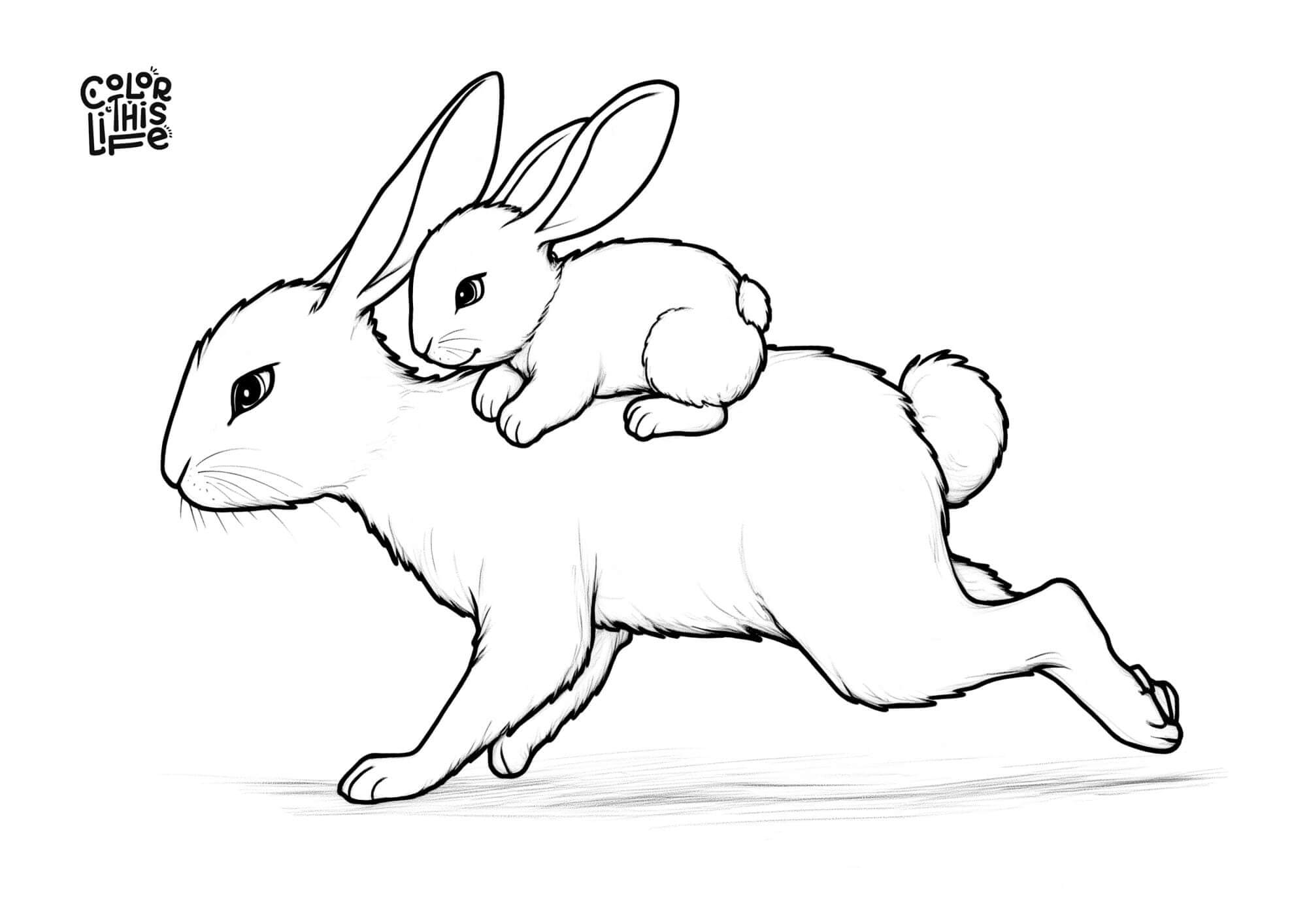 Piggy back baby bunny coloring page - Color This Life
