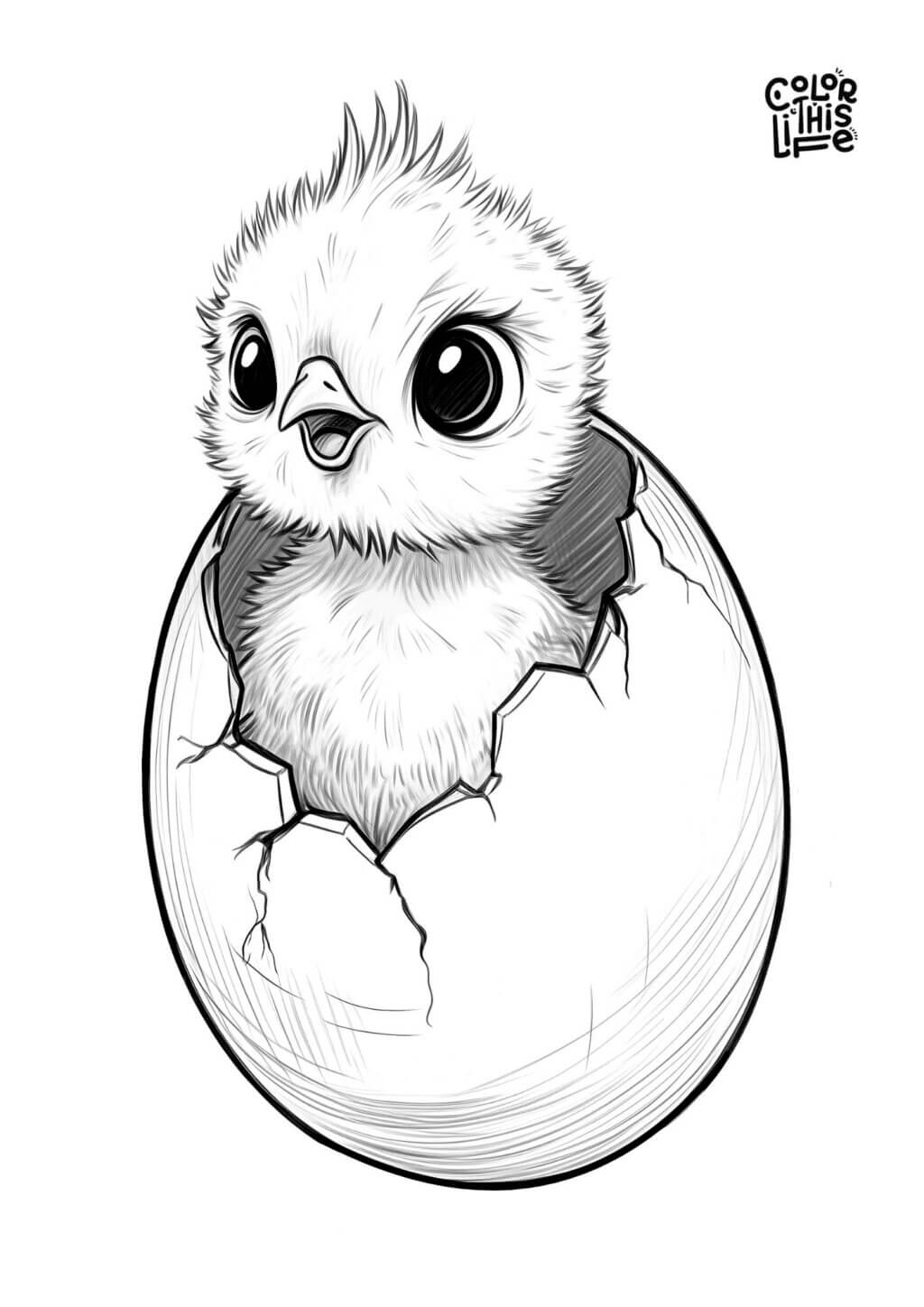 Cute spring chick coloring page - Color This Life