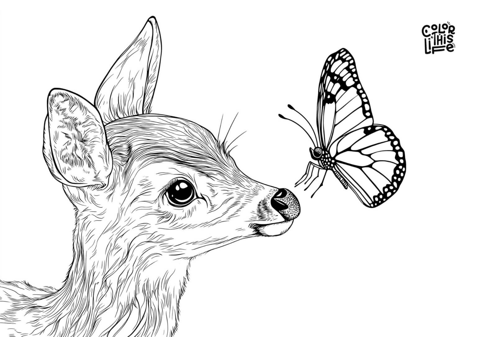Spring Coloring Pages for Adults (Free printable)