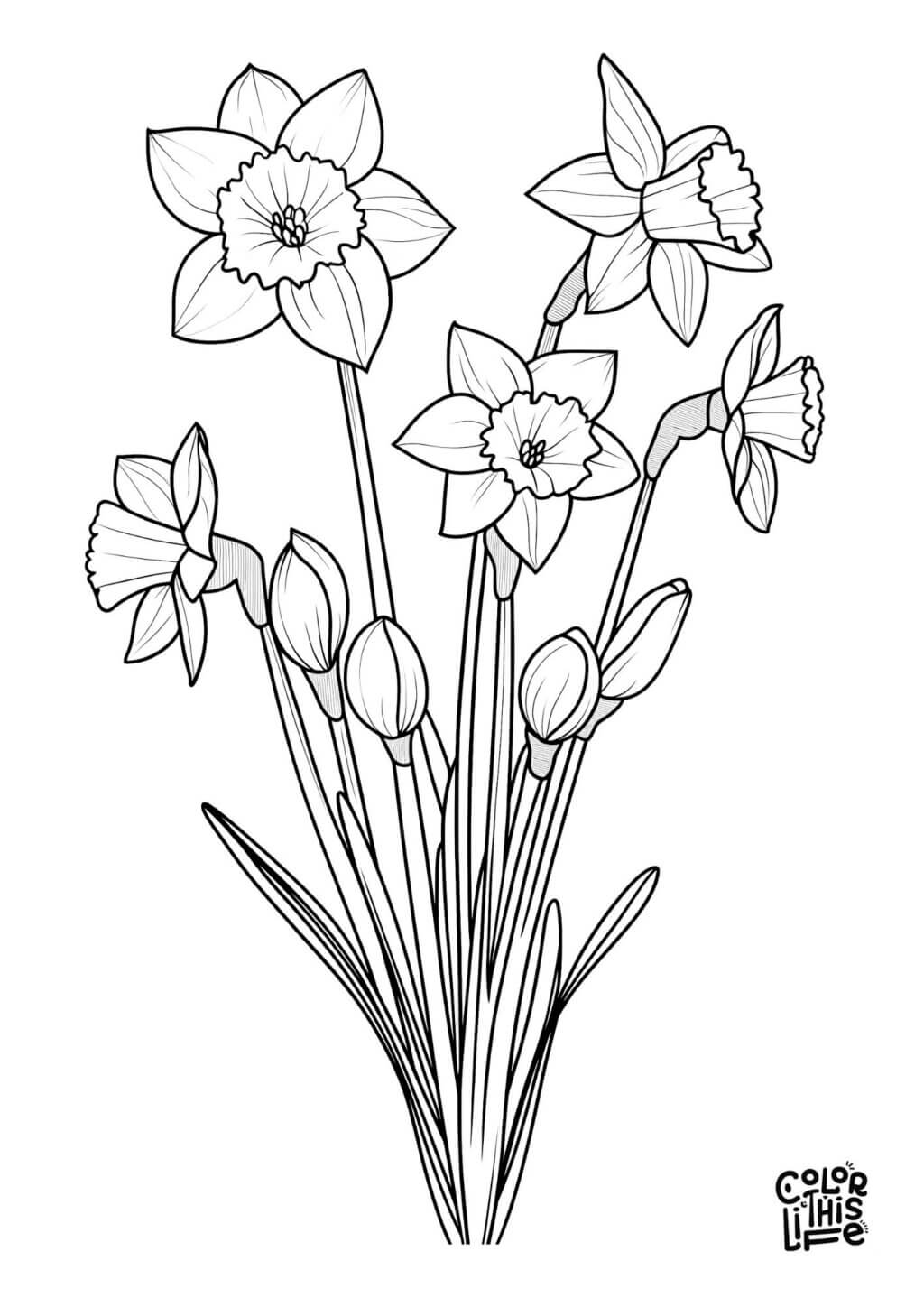 Free Printable Flowers Coloring Pages - Color This Life