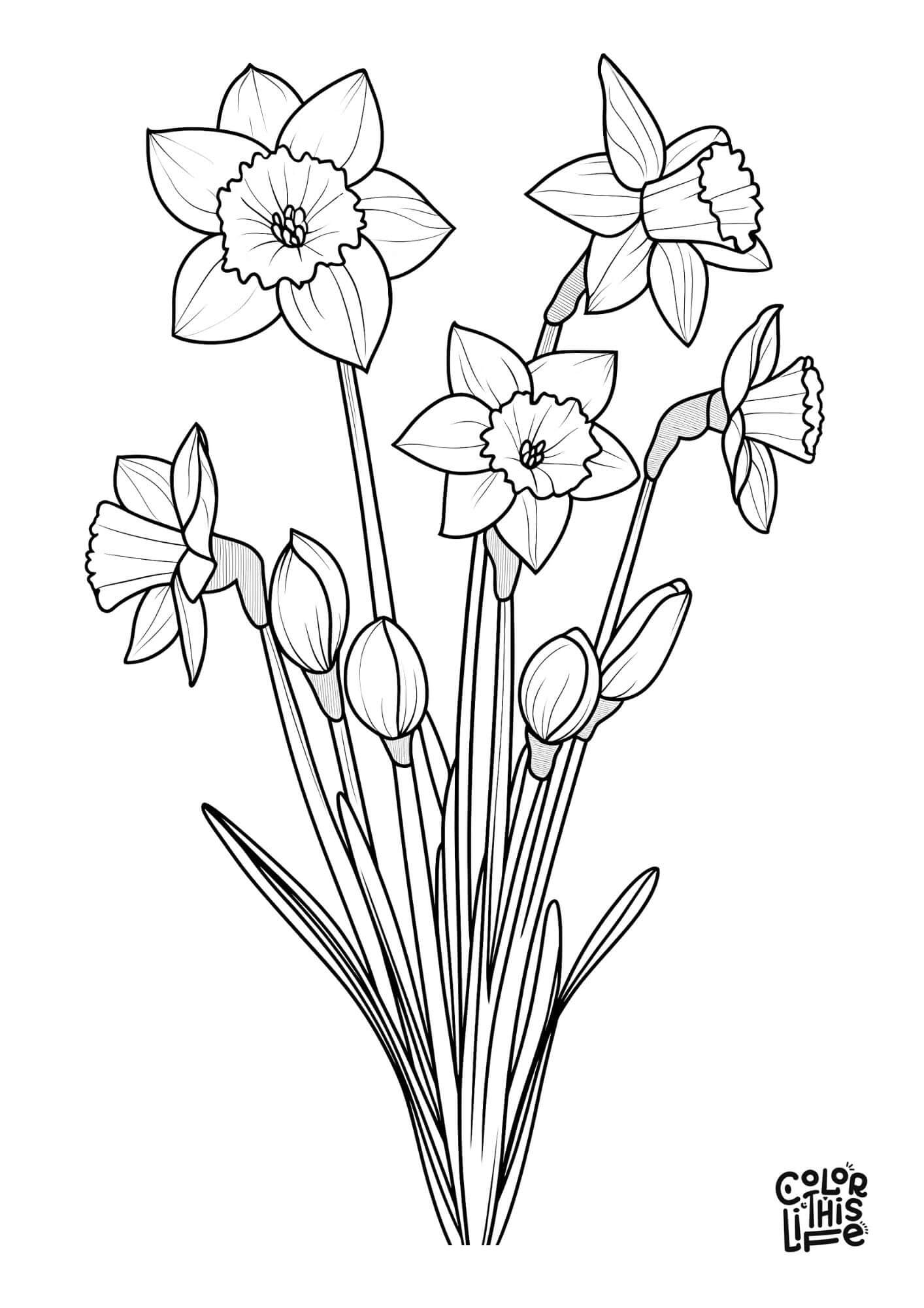 Spring Flower Coloring Pages (Free Printable)