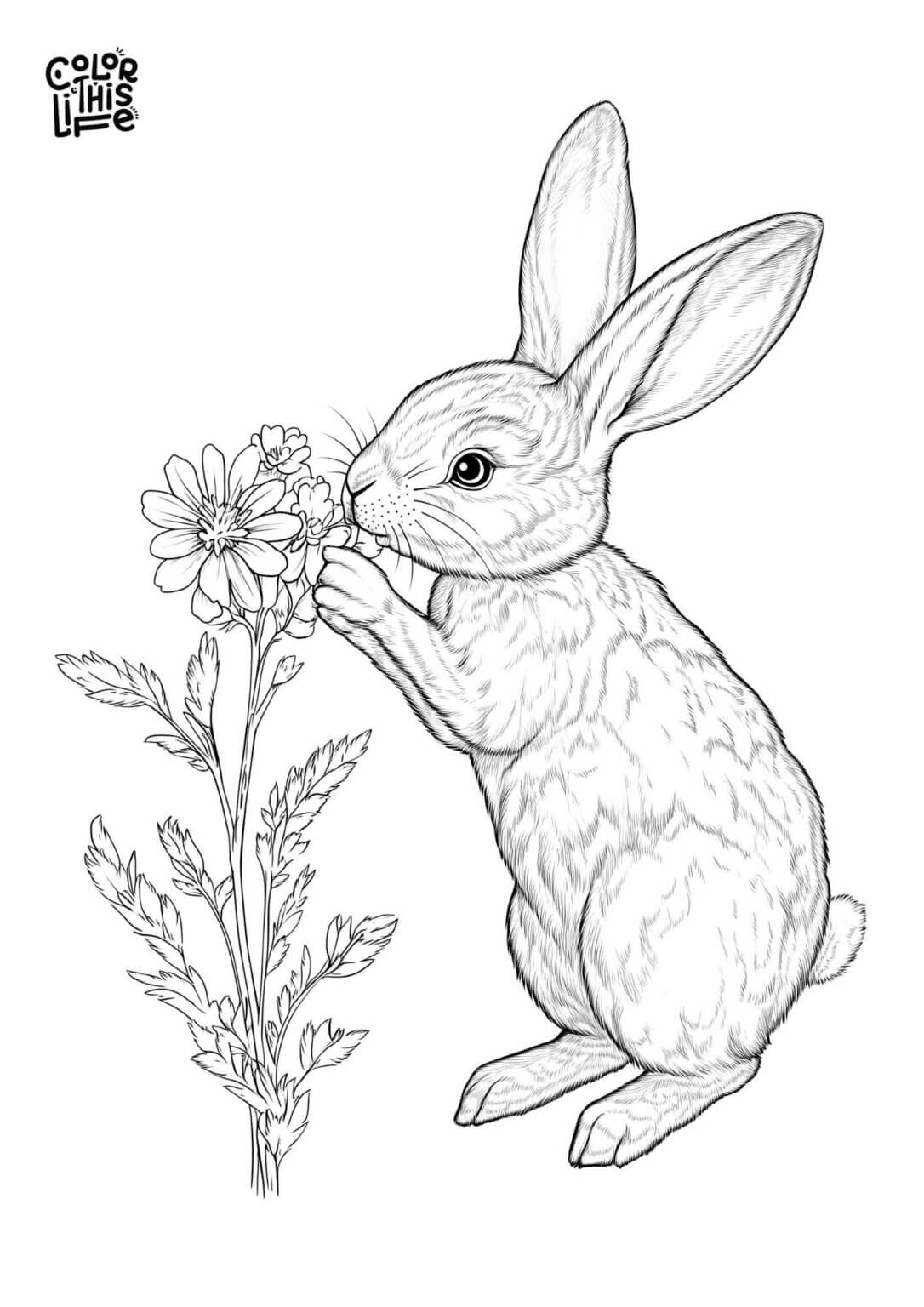 Realistic Animal Coloring Pages (Free printable)