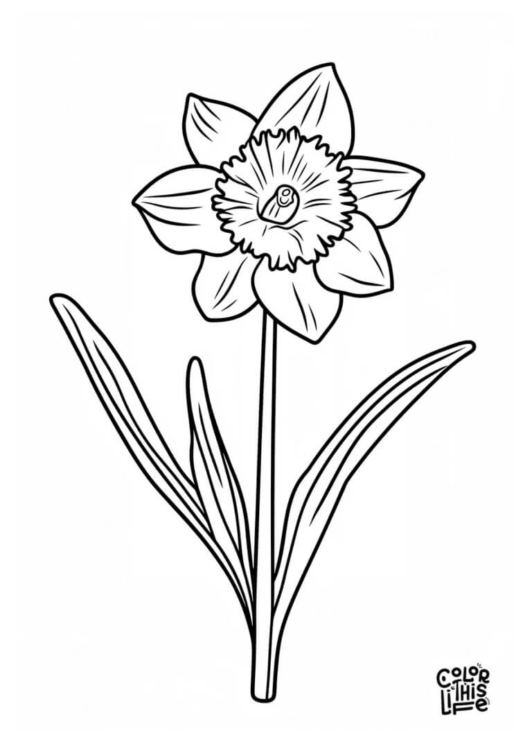 Spring Flower Coloring Pages (Free Printable)