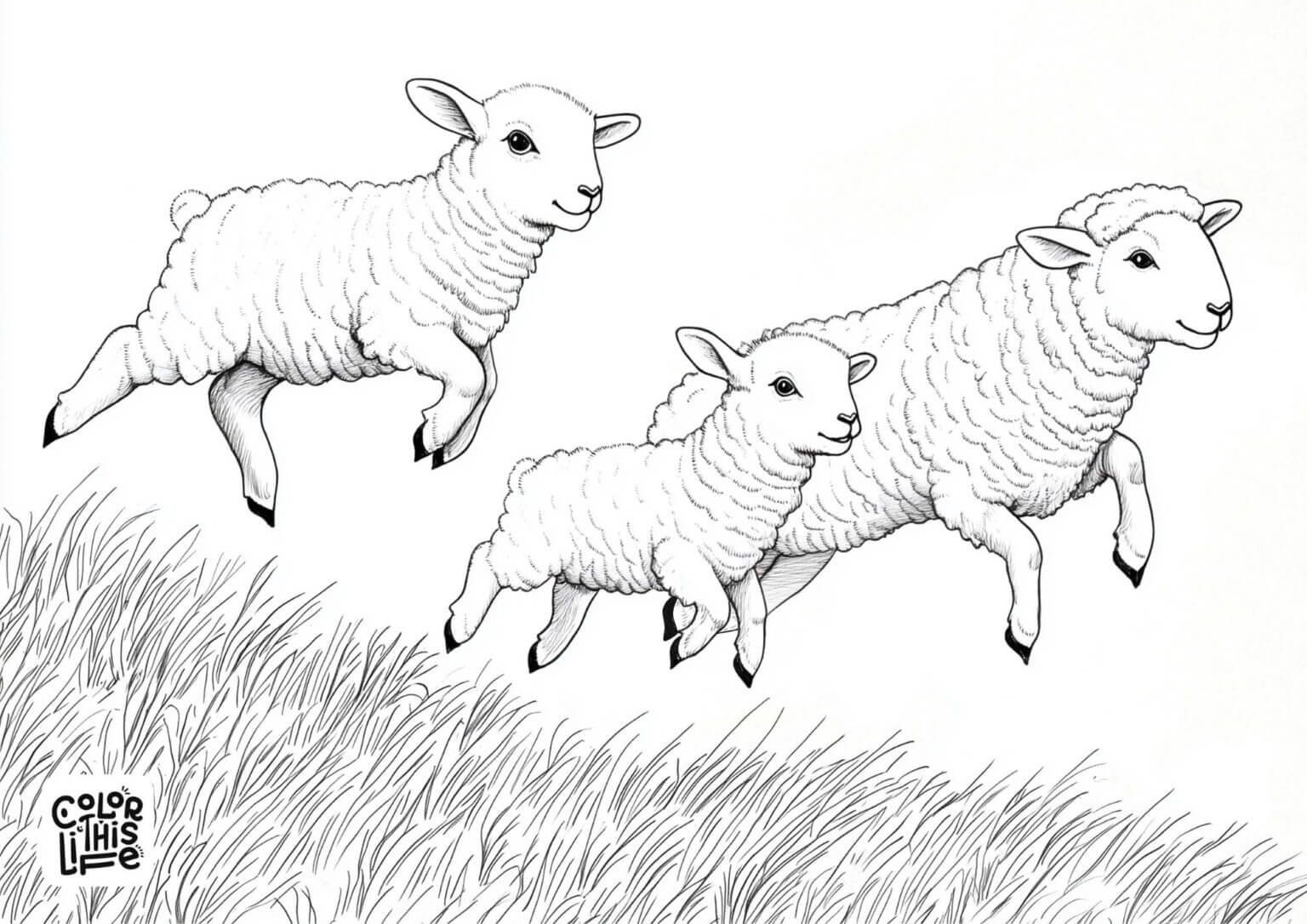 Free Printable Lamb Coloring Pages - Color This Life