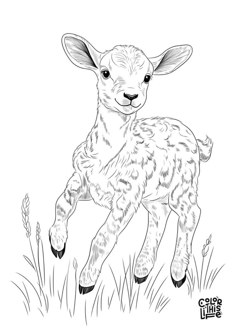 Free Printable Lamb Coloring Pages - Color This Life