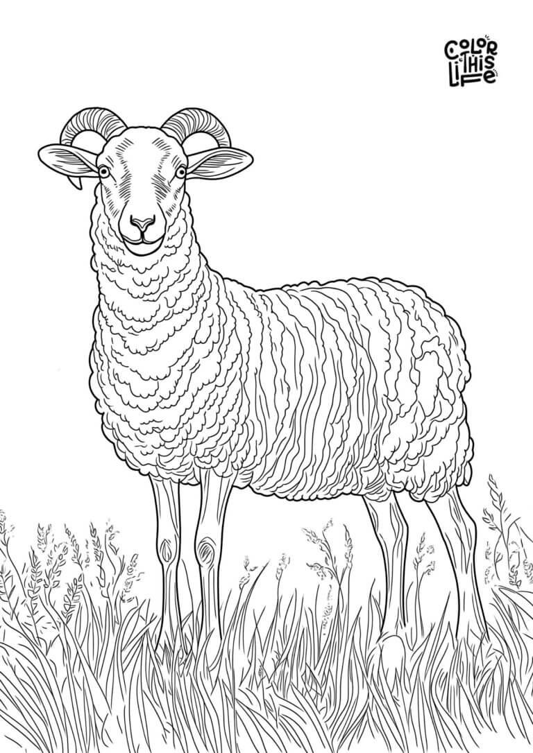 Detailed ram coloring page for adults - Color This Life