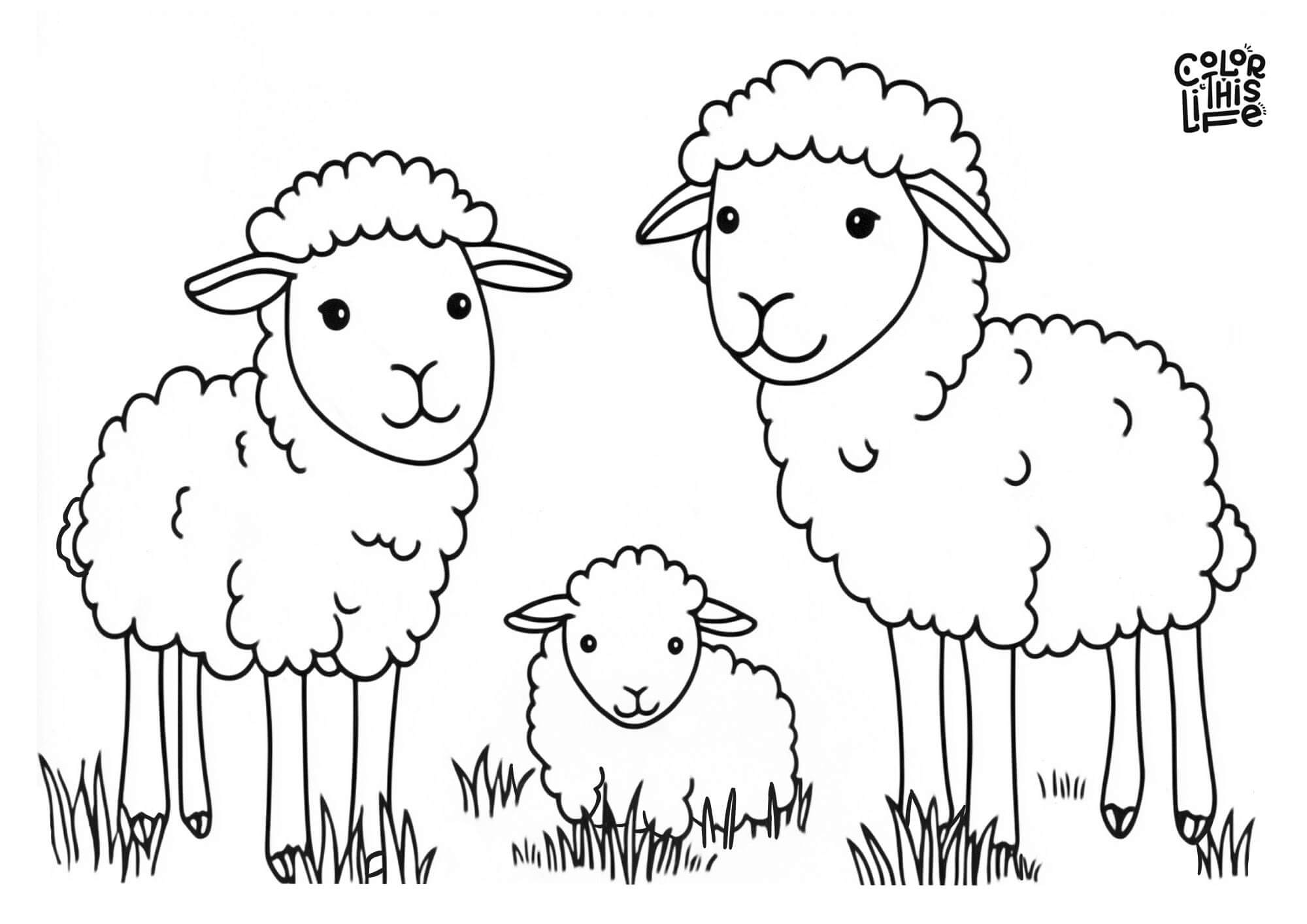 Easy spring coloring page for kids with sheep family - Color This Life