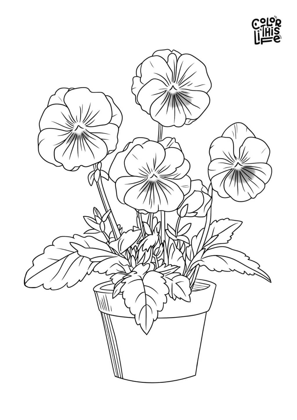 Spring Flower Coloring Pages (Free Printable)