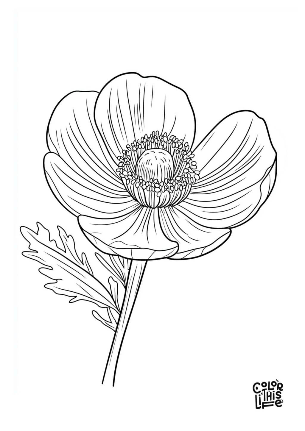 Spring Flower Coloring Pages (Free Printable)