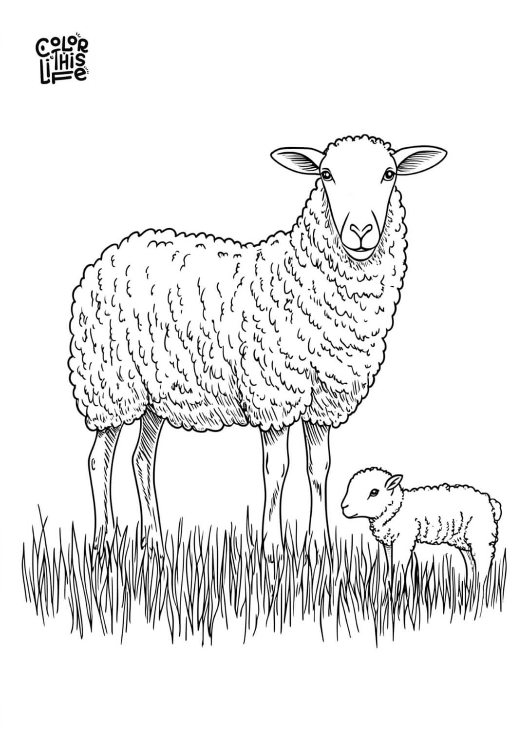 Spring Animal Coloring Pages (Free Printable)