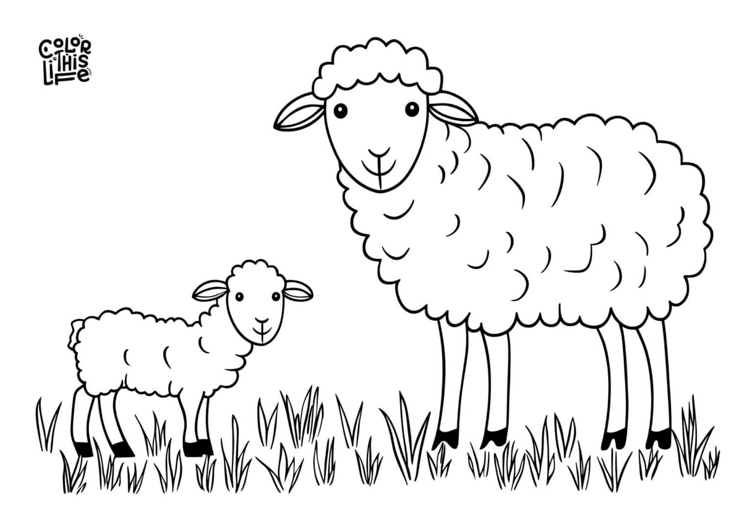 Spring Animal Coloring Pages (Free Printable)