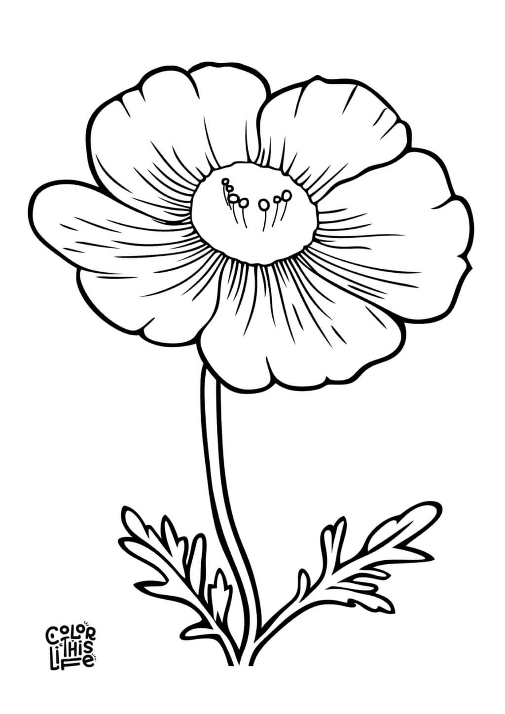 Simple Flower Coloring Pages (Free Printable)