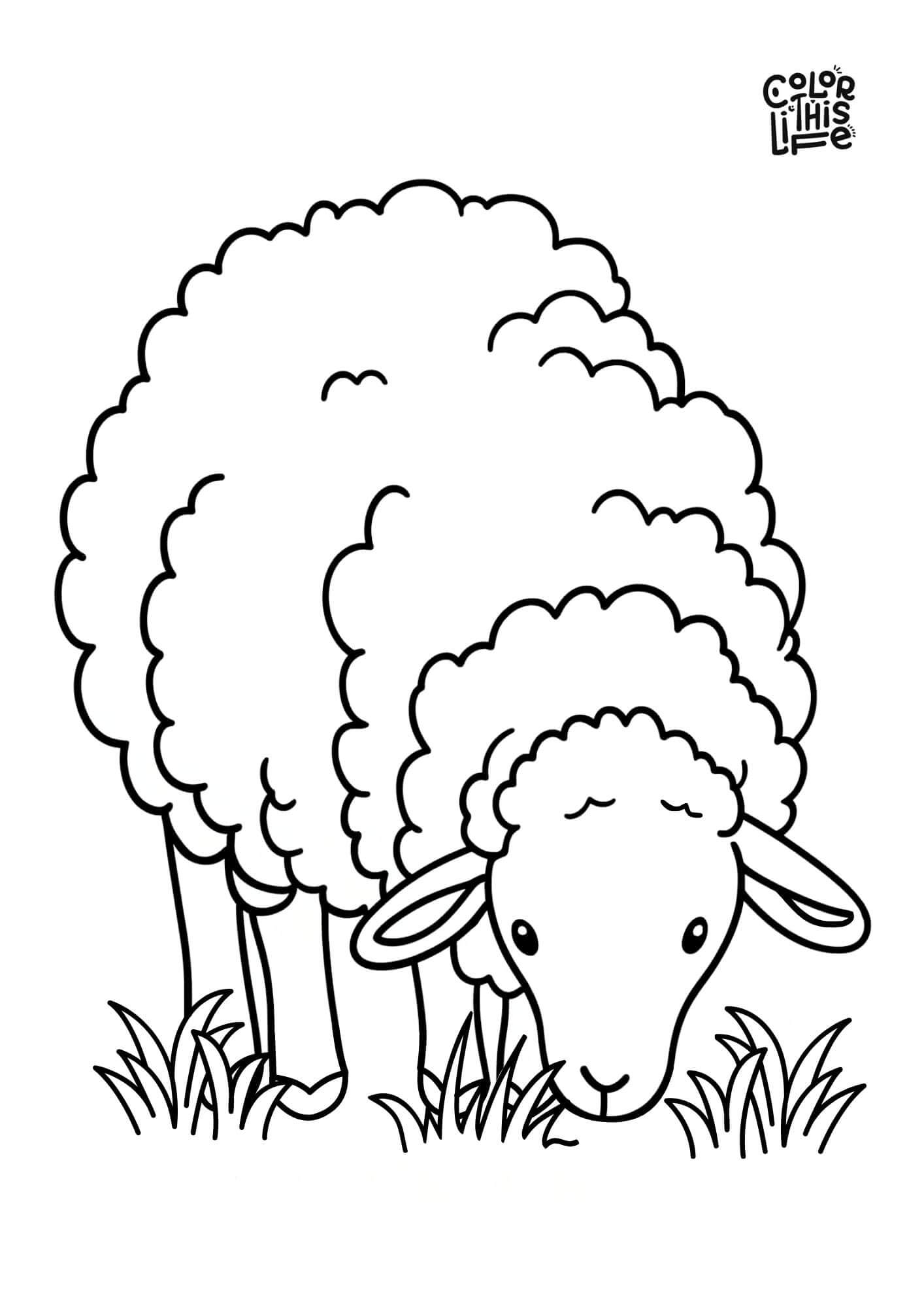 Simple free sheep coloring page - Color This Life