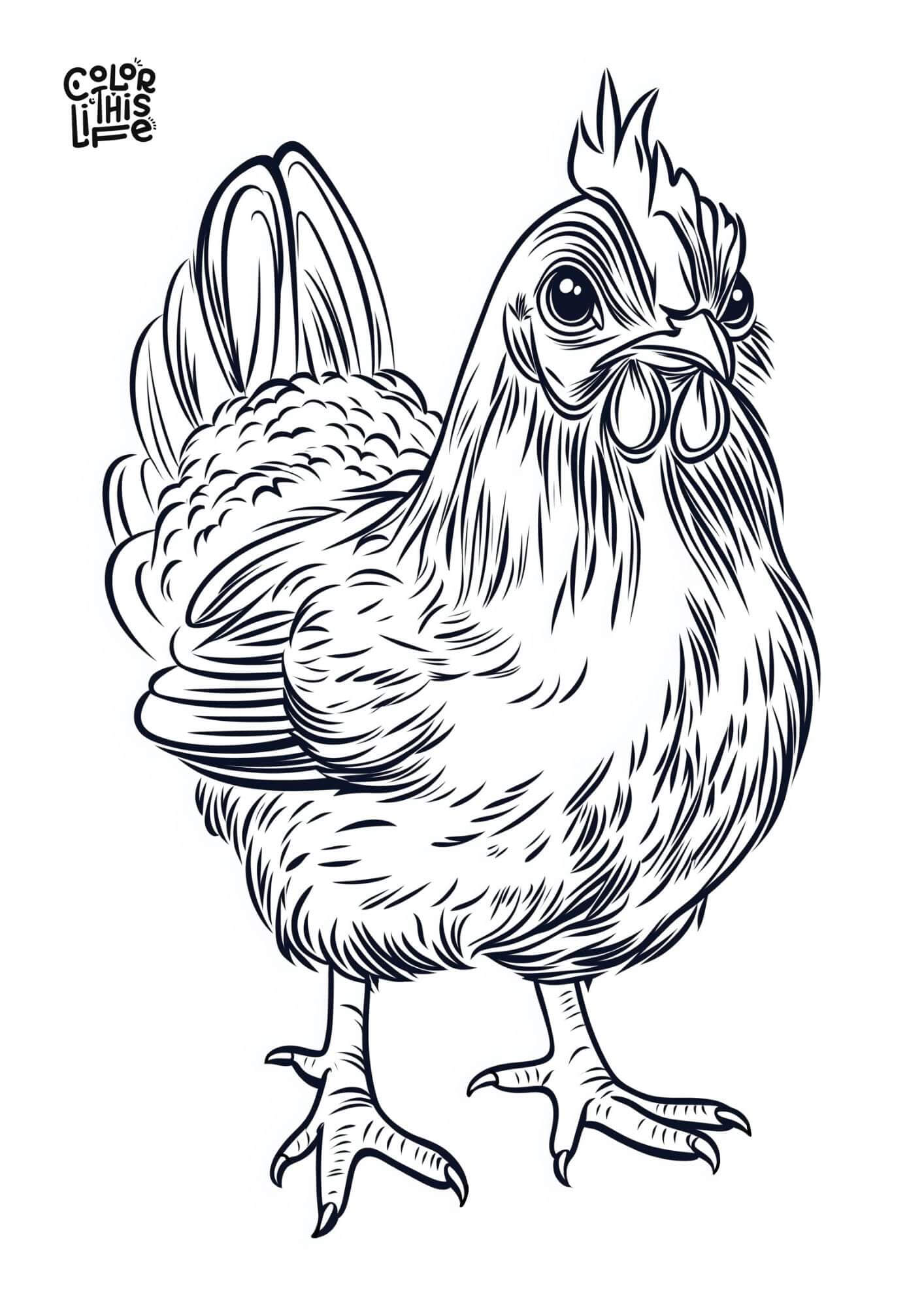 Artistic chicken coloring page free printable - Color This Life