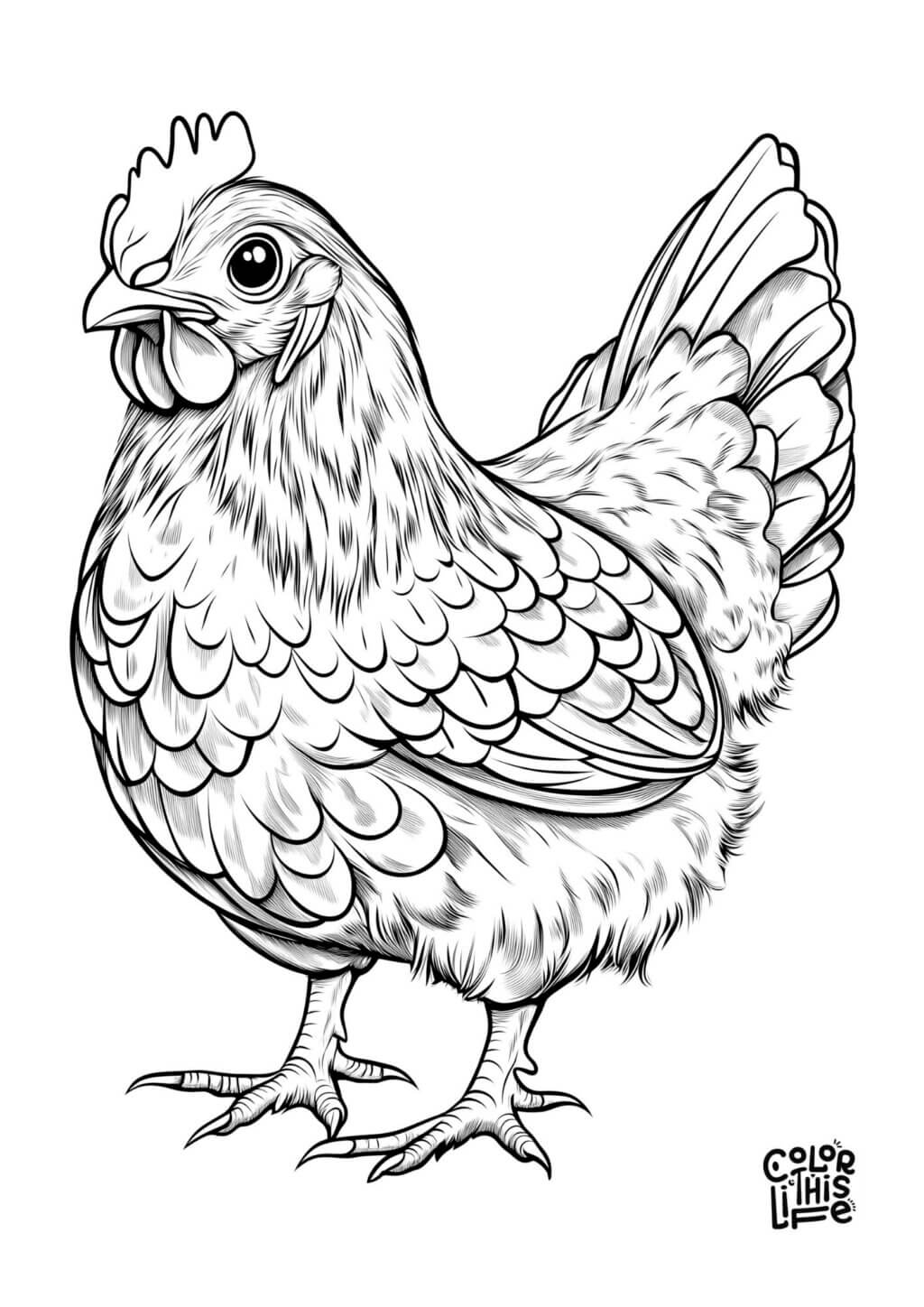 Detailed realistic hen coloring page for adults - Color This Life