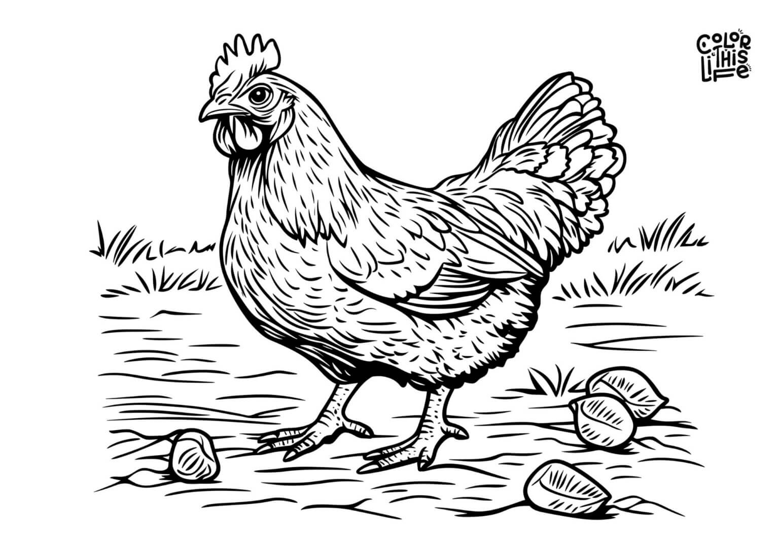 Farmyard chicken coloring page for adults - Color This Life