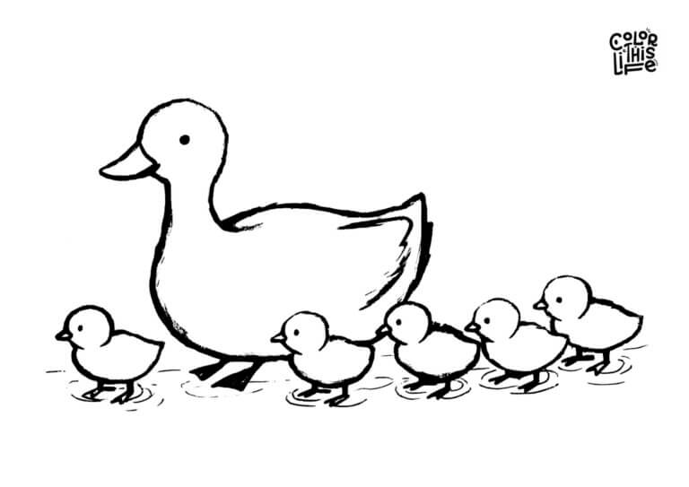 Artistic duck and ducklings coloring page free
