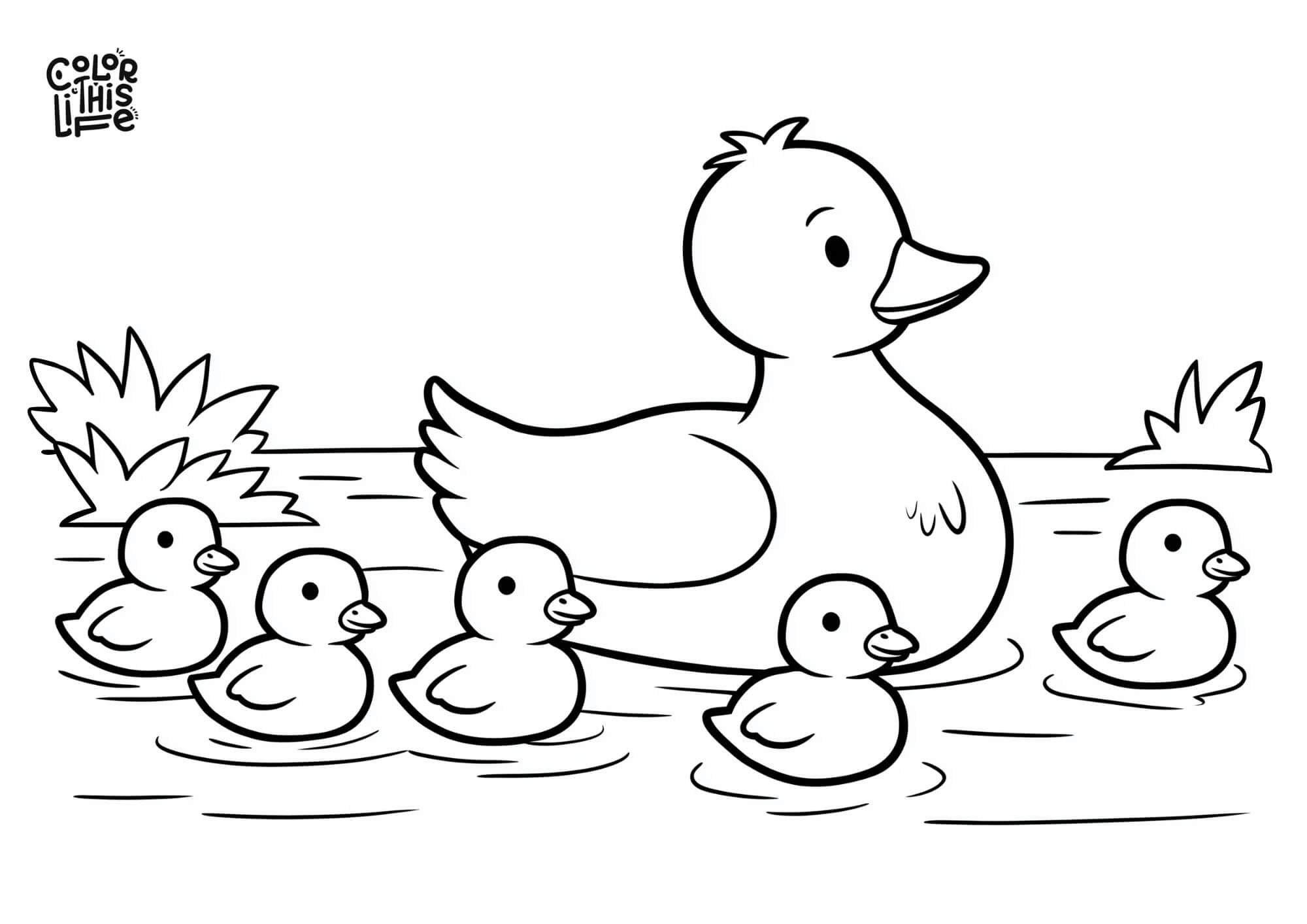 Free Printable Duck Coloring Pages - Color This Life