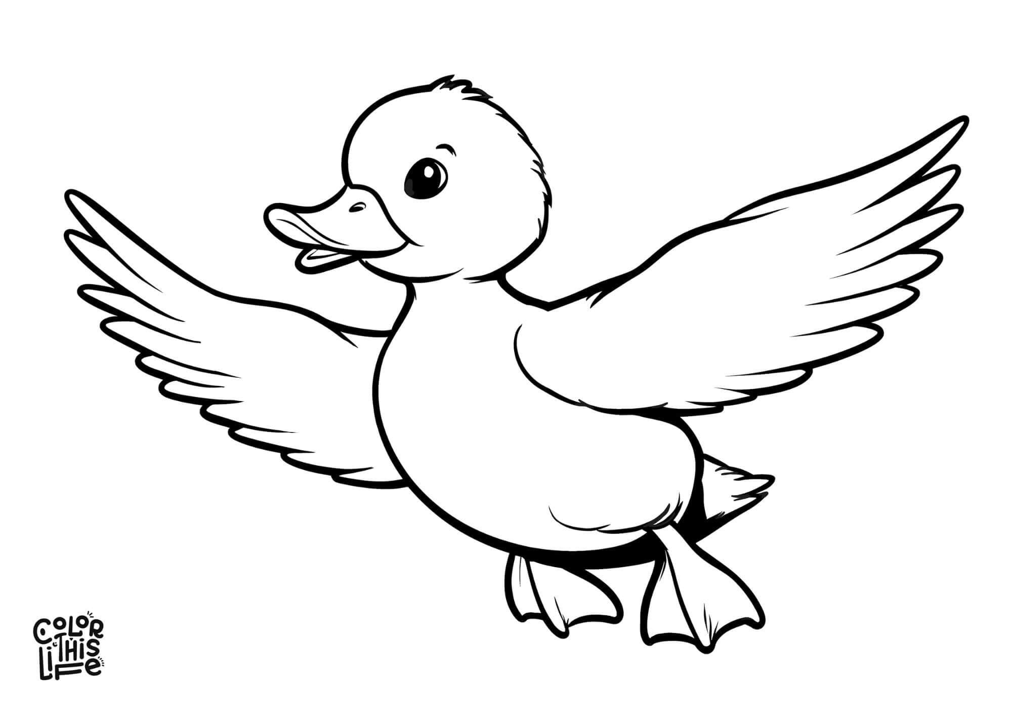 Free Printable Duck Coloring Pages - Color This Life