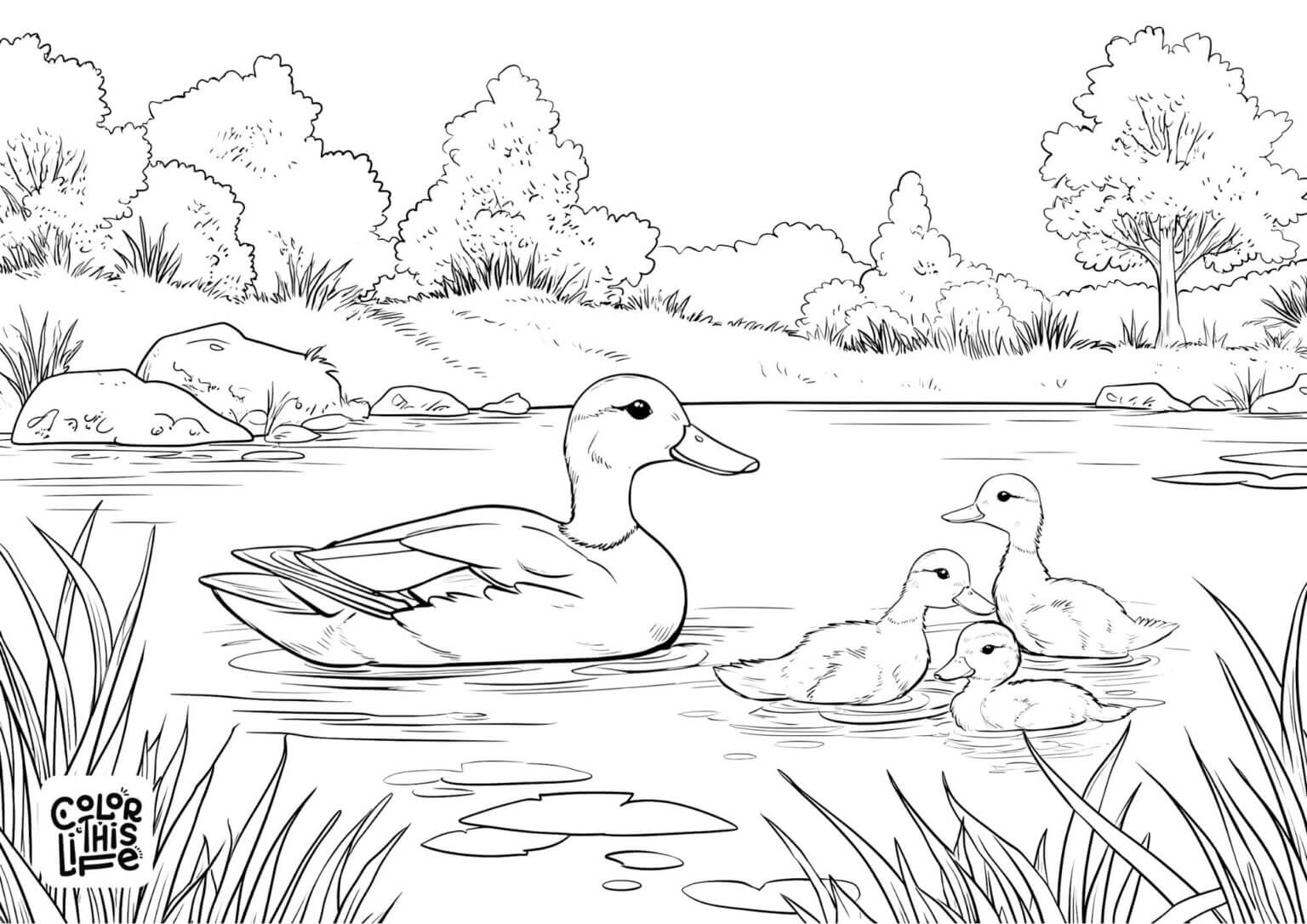 Free Printable Duck Coloring Pages - Color This Life